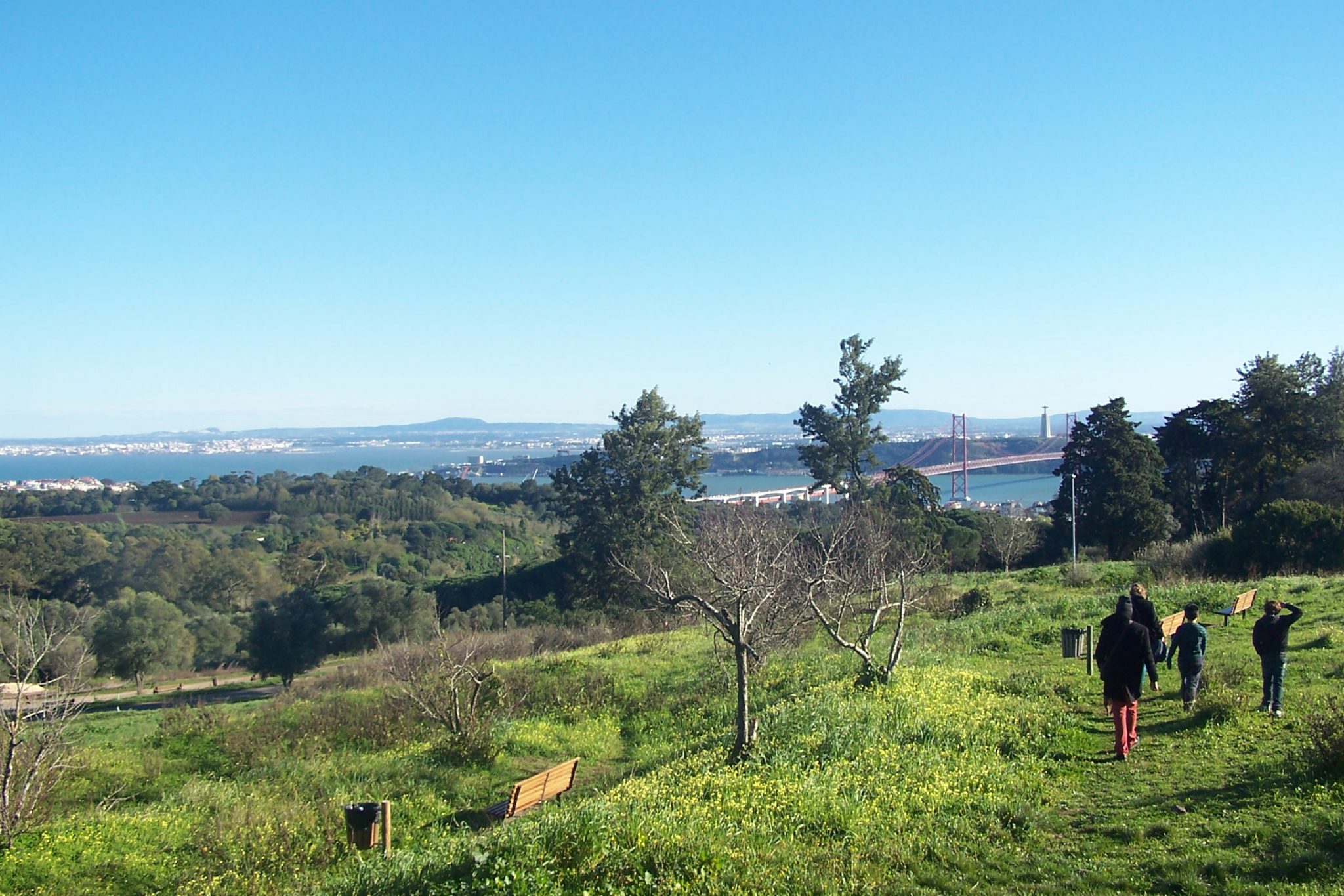 Do parque florestal para a mesa: as plantas comestíveis de Monsanto ...